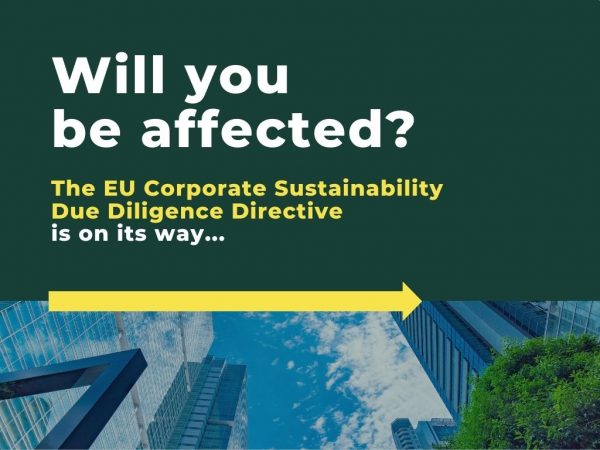 The EU Corporate Sustainability Due Diligence Directive (CSDDD) | TDi ... The EU Corporate Sustainability Due Diligence Directive (CSDDD) | TDi ...